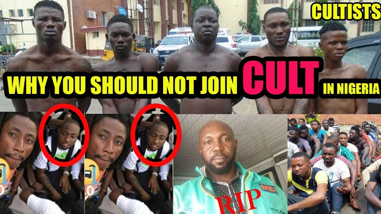 Cultism In Nigeria - DisNaija Media Network